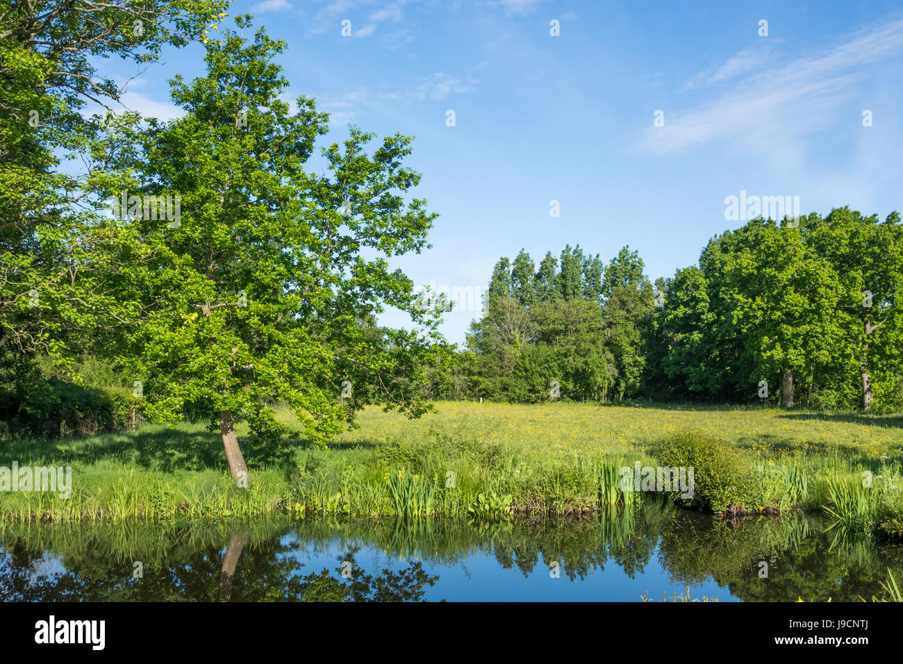Kent Countryside landscape and pond Stock Photo - Alamy