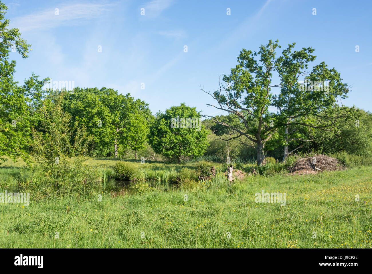 Landscape countryside kent hi-res stock photography and images - Alamy