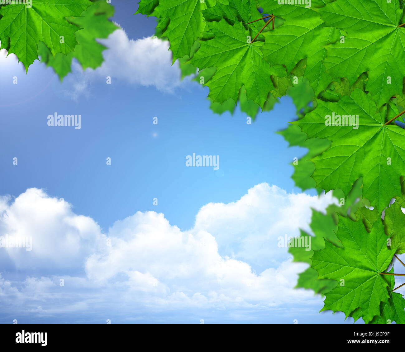 blue, eco, environment, enviroment, green, season, nature, natural ...