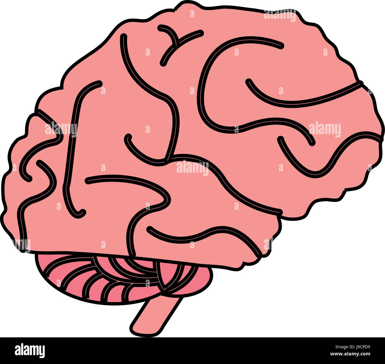 brain cartoon illustration Stock Vector Image & Art - Alamy