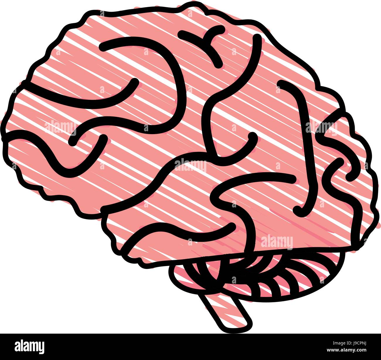brain cartoon illustration shadow Stock Vector Image & Art - Alamy
