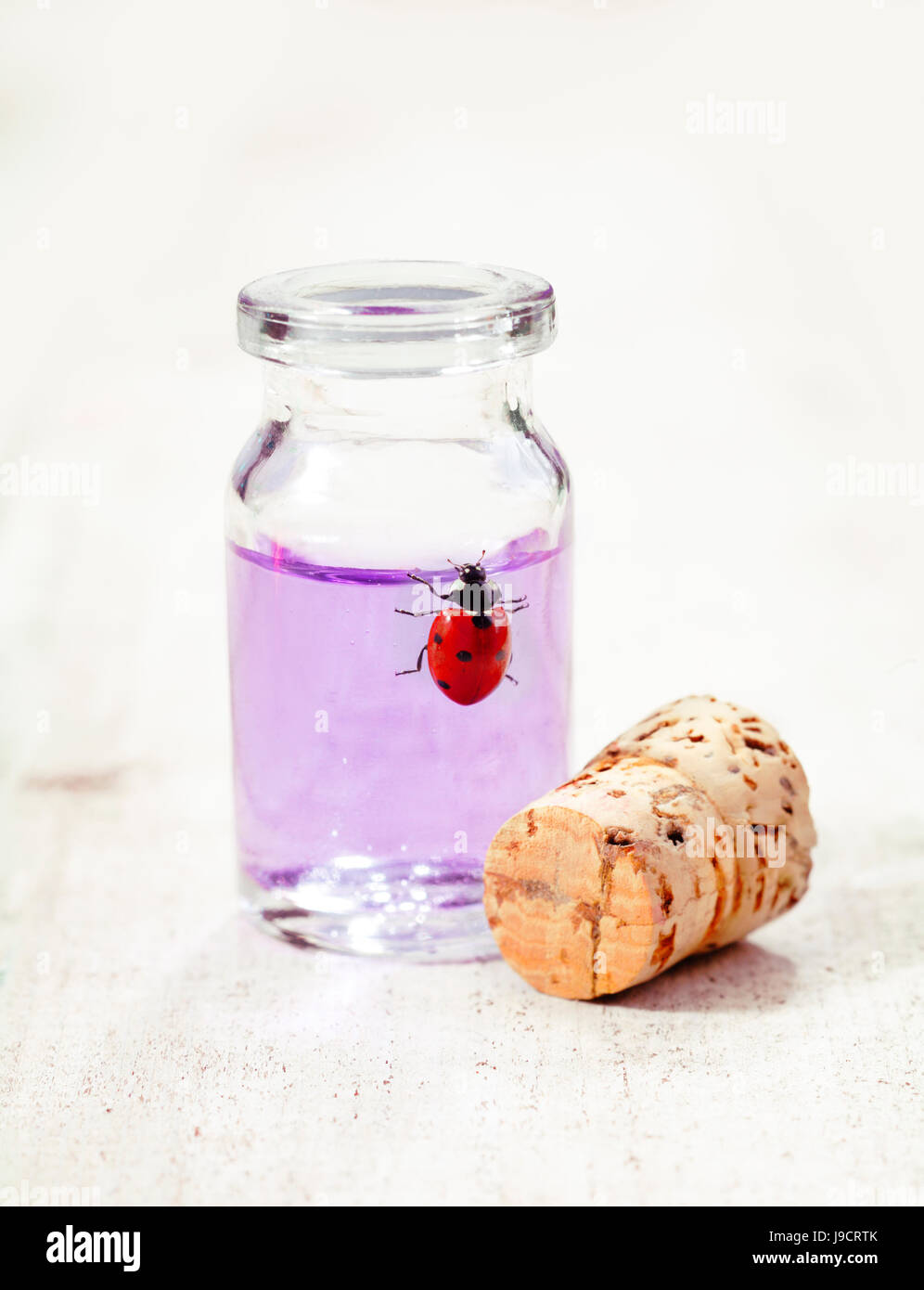 glass, chalice, tumbler, single, liquid, insect, beetle, bottle ...
