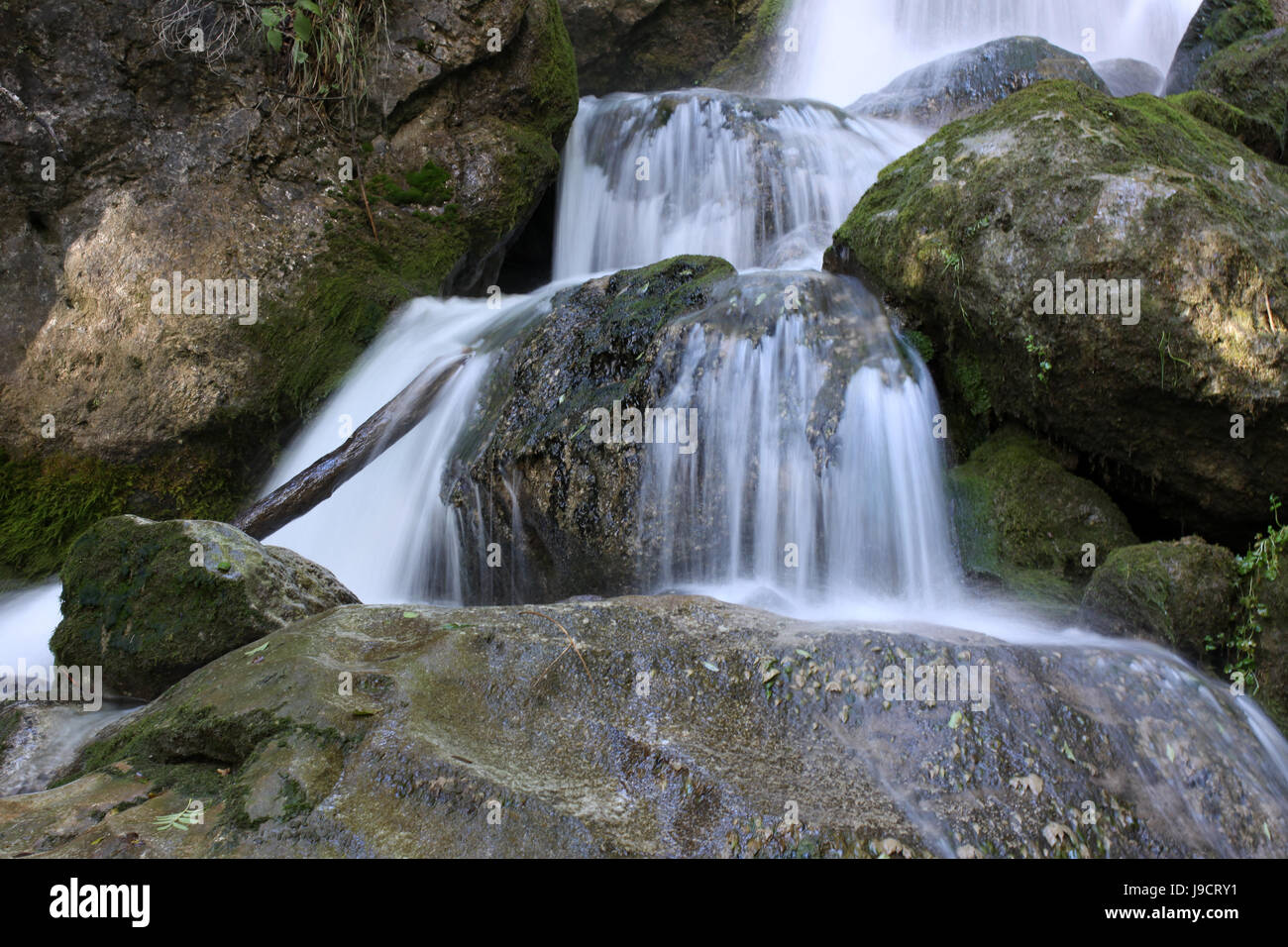 stream, rock, runnel, streamlet, stream, rock, runnel, streamlet ...