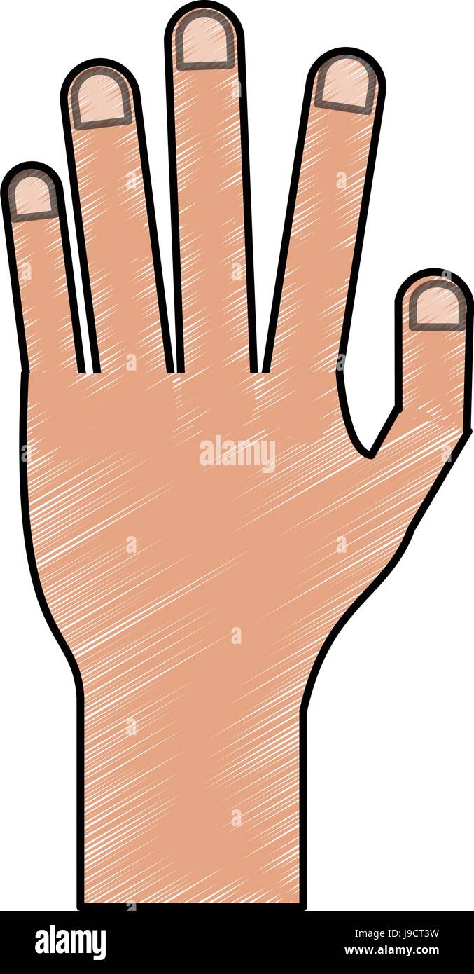 color pencil cartoon hand human palm Stock Vector Image & Art - Alamy