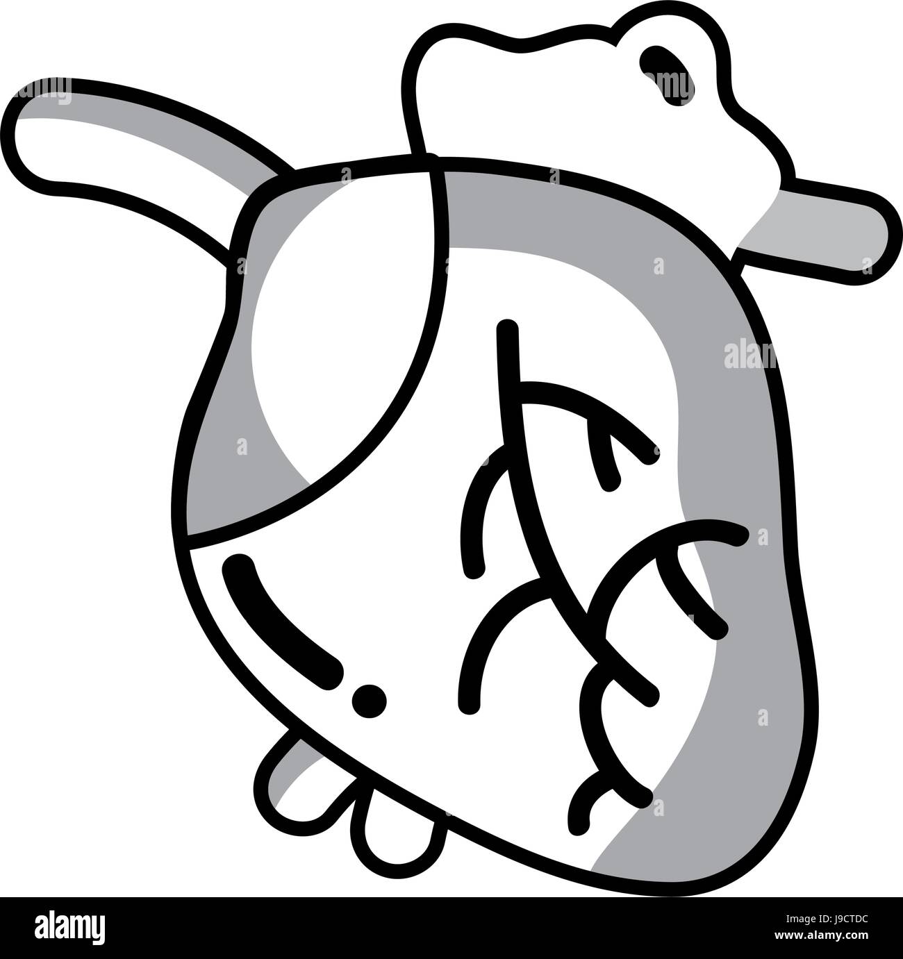 contour heart organ with blood circulation for the veins Stock Vector ...