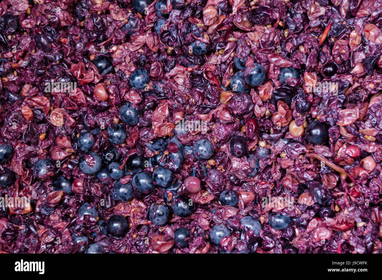 Crushed grapes for wine background Stock Photo - Alamy