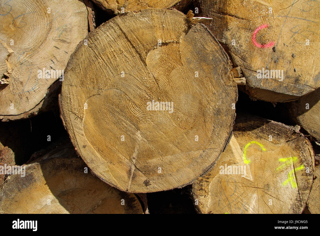 Virgin material hi-res stock photography and images - Alamy