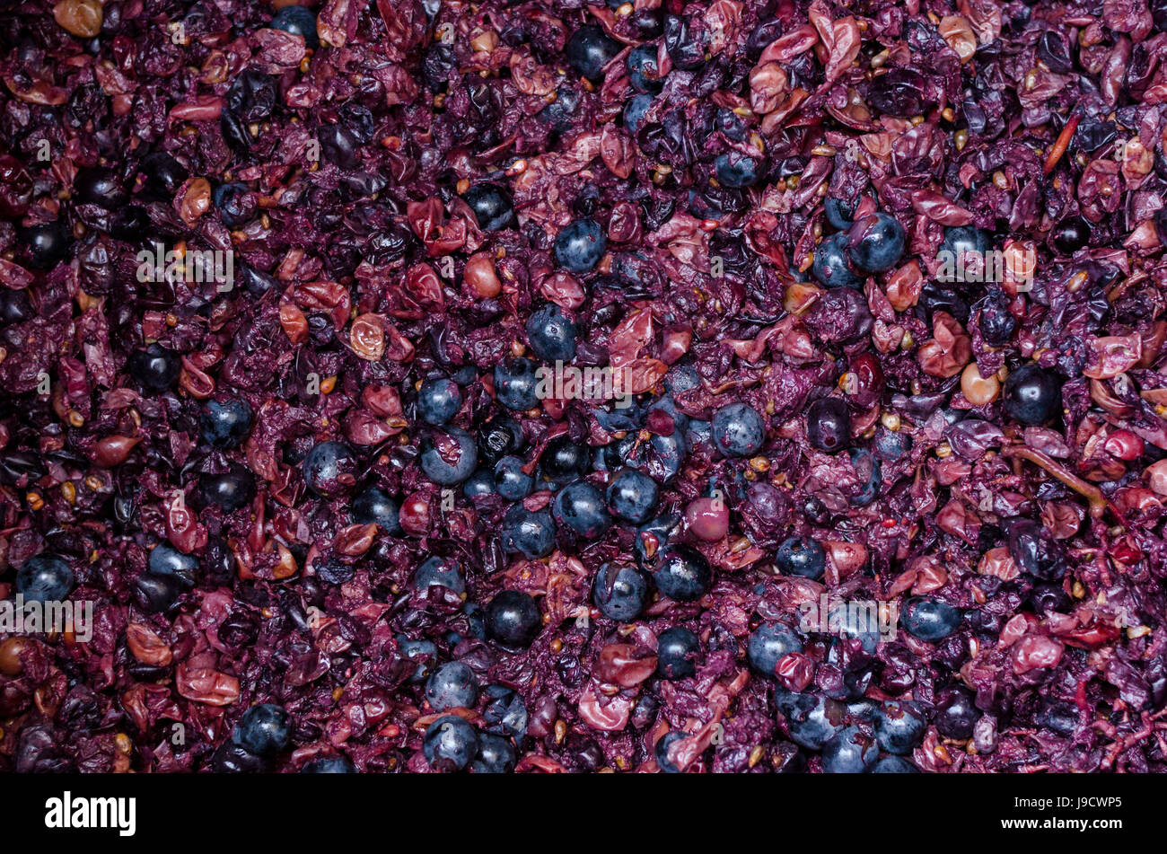 Crushing grapes hi-res stock photography and images - Alamy