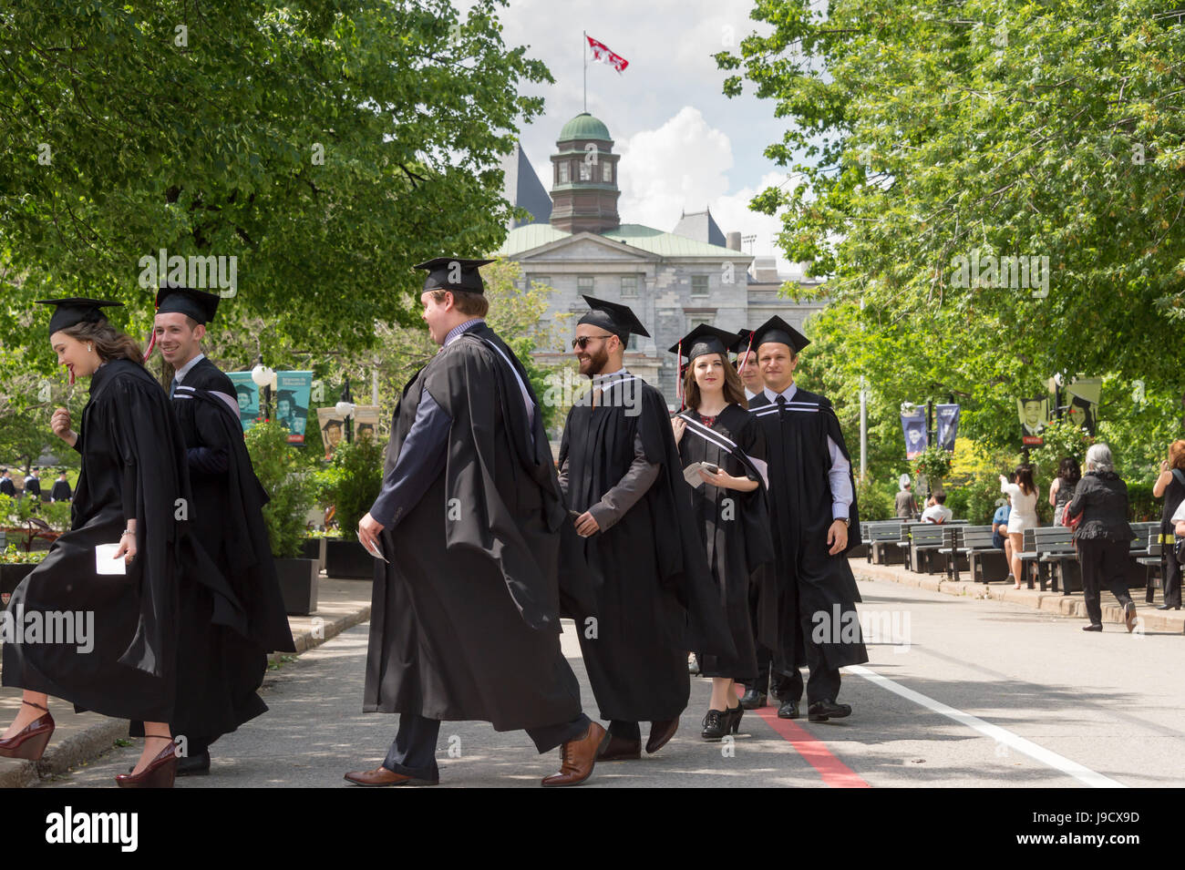 Mcgill university montreal hi-res stock photography and images - Alamy