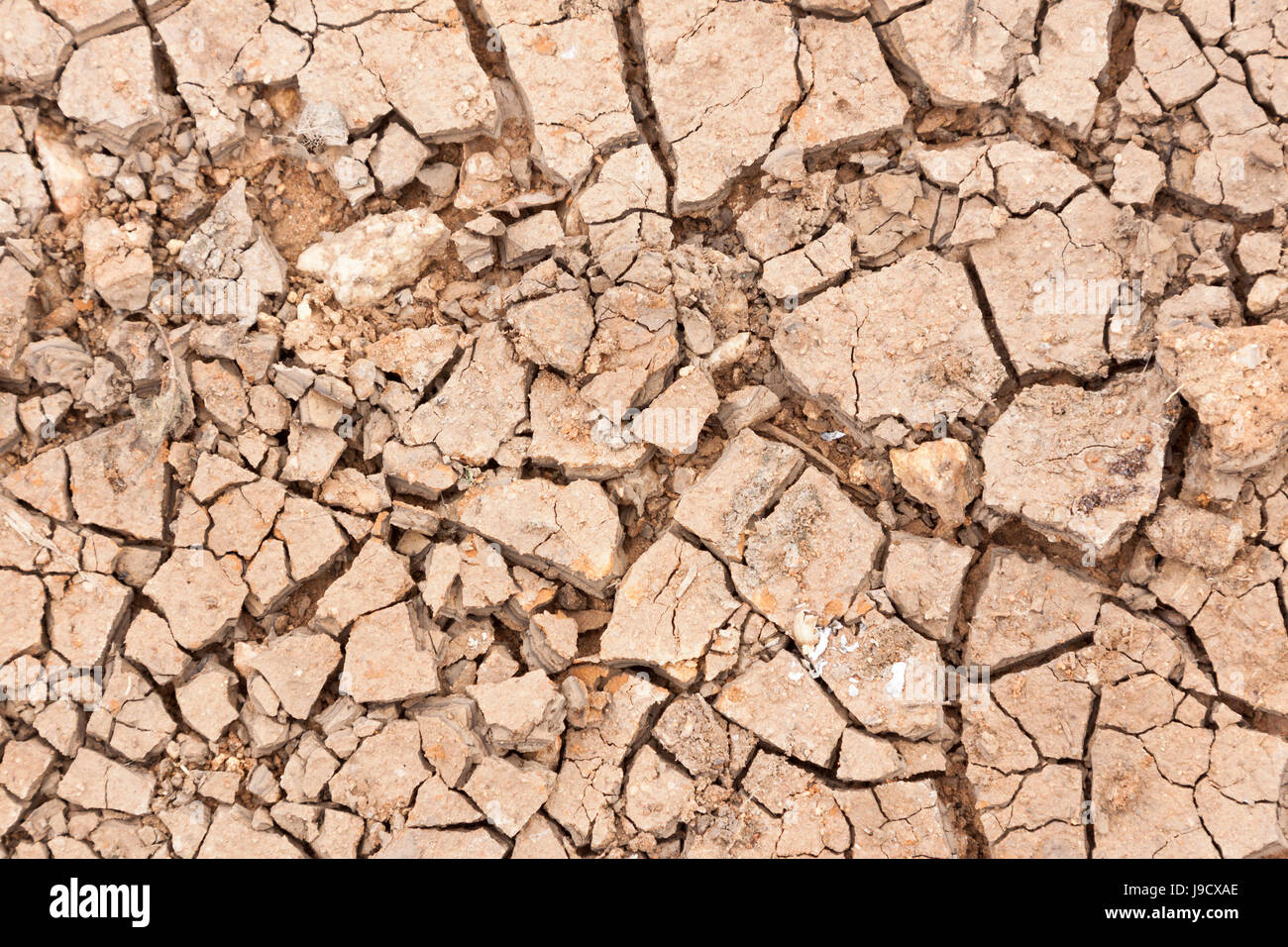 Dry Land In Africa Desertification In Africa: Impacts, Causes, And