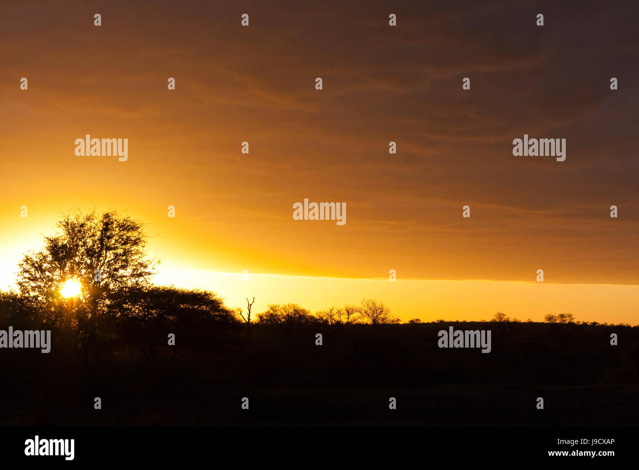 sunset, africa, dust, evening, horizontal, bush, south africa, African ...