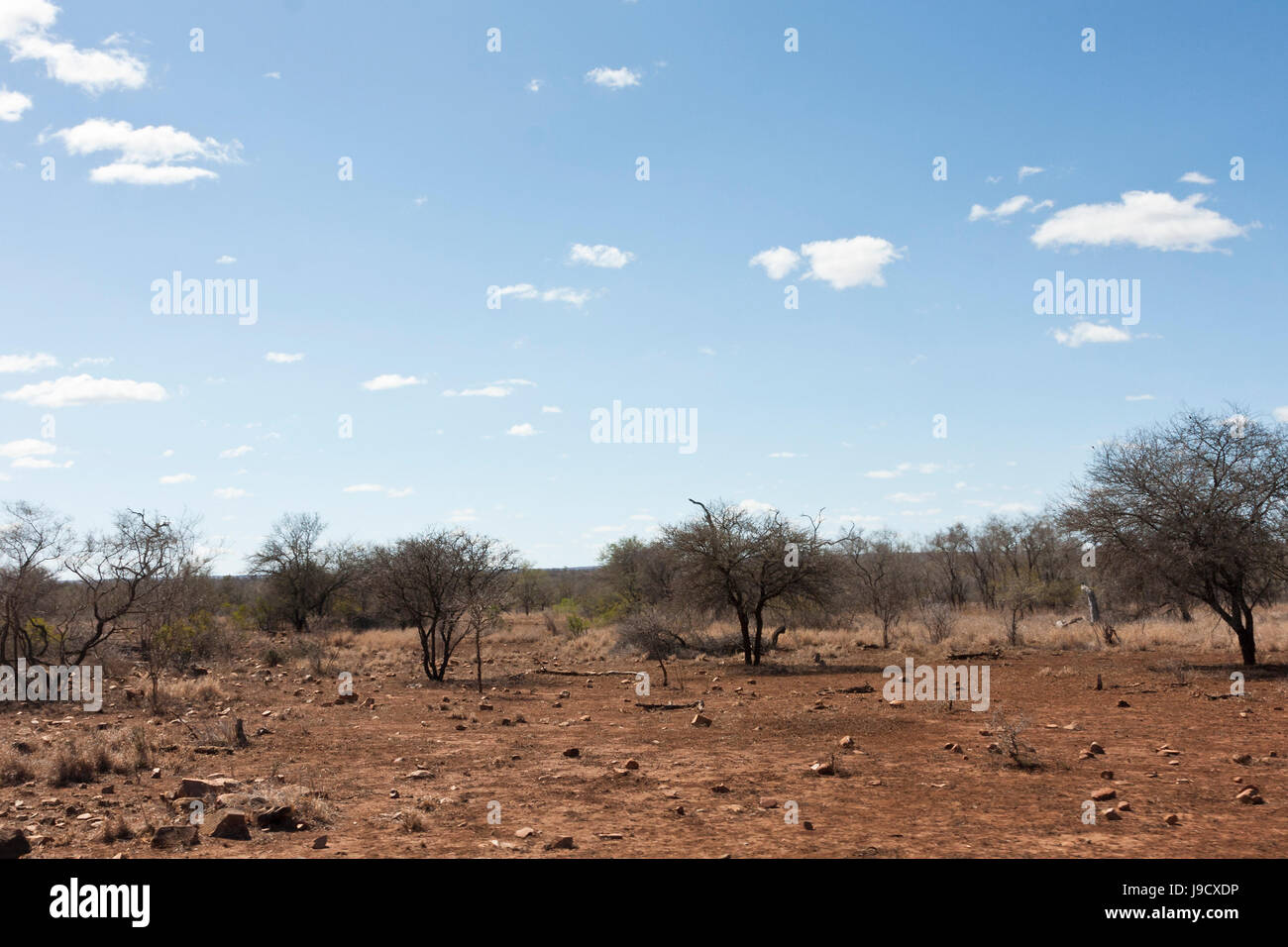 Baum horizontal hi-res stock photography and images - Alamy