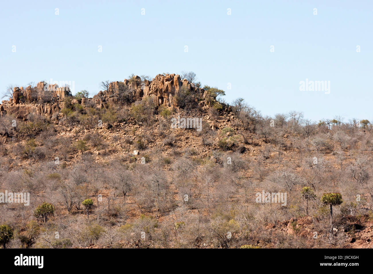 africa, south africa, border, somalia, scenery, countryside, nature ...