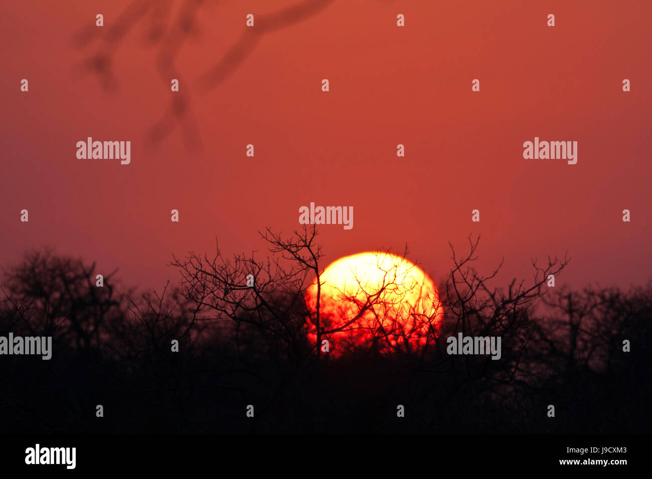 sunset, africa, dust, evening, horizontal, bush, south africa, African ...