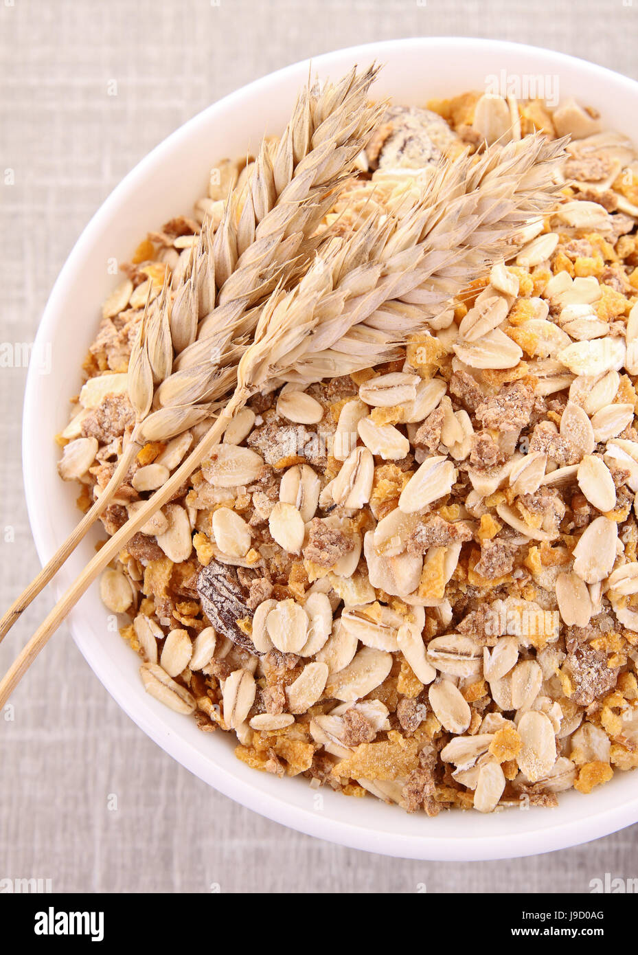 food, aliment, agriculture, farming, diet, wheat, flour, gourmet, corn ...