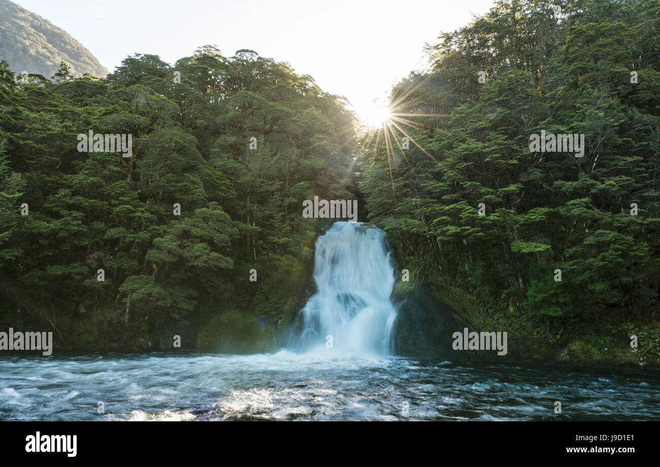 Iris burn new zealand hi-res stock photography and images - Alamy