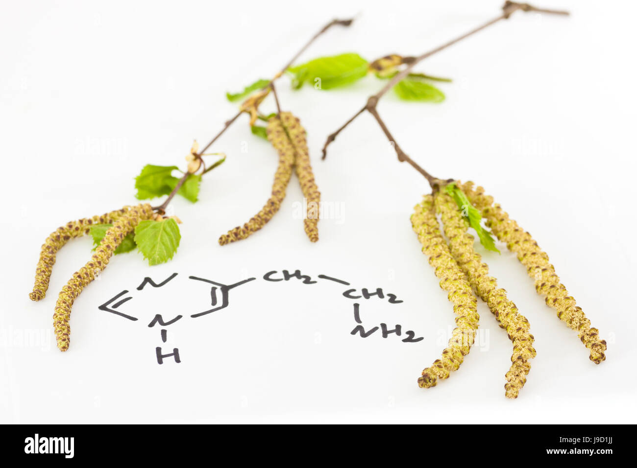 Hayfever hay fever Cut Out Stock Images & Pictures - Alamy