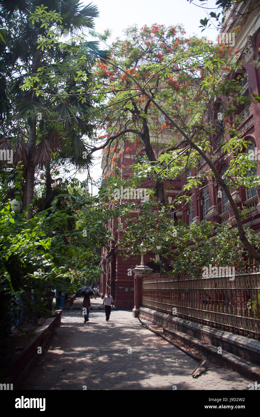 East india company building calcutta hi-res stock photography and ...