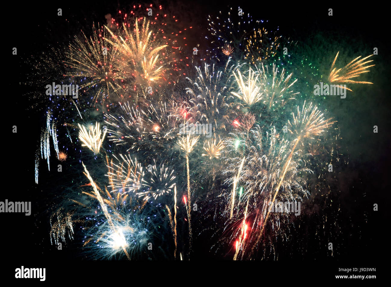 night, nighttime, celebrate, reveling, revels, celebrates, party ...