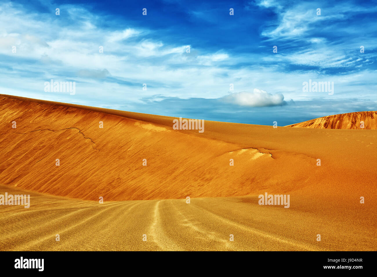 desert, wasteland, dunes, dry, dried up, barren, wilderness, arid, slim ...