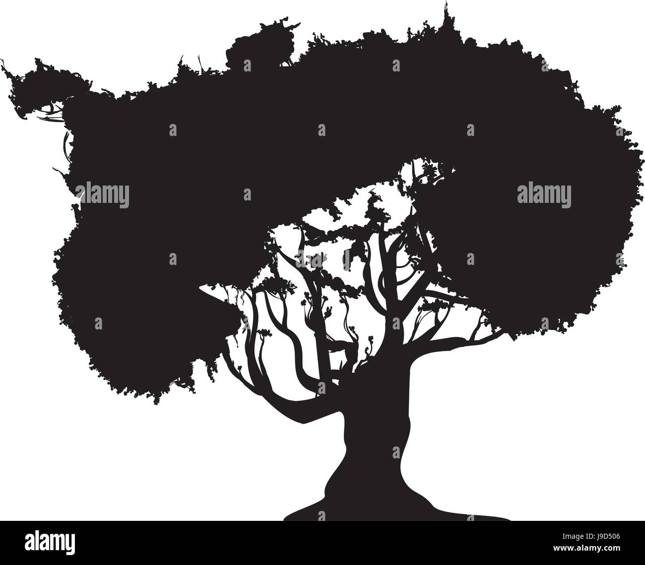 Beautiful tree silhouette Stock Vector Image & Art - Alamy