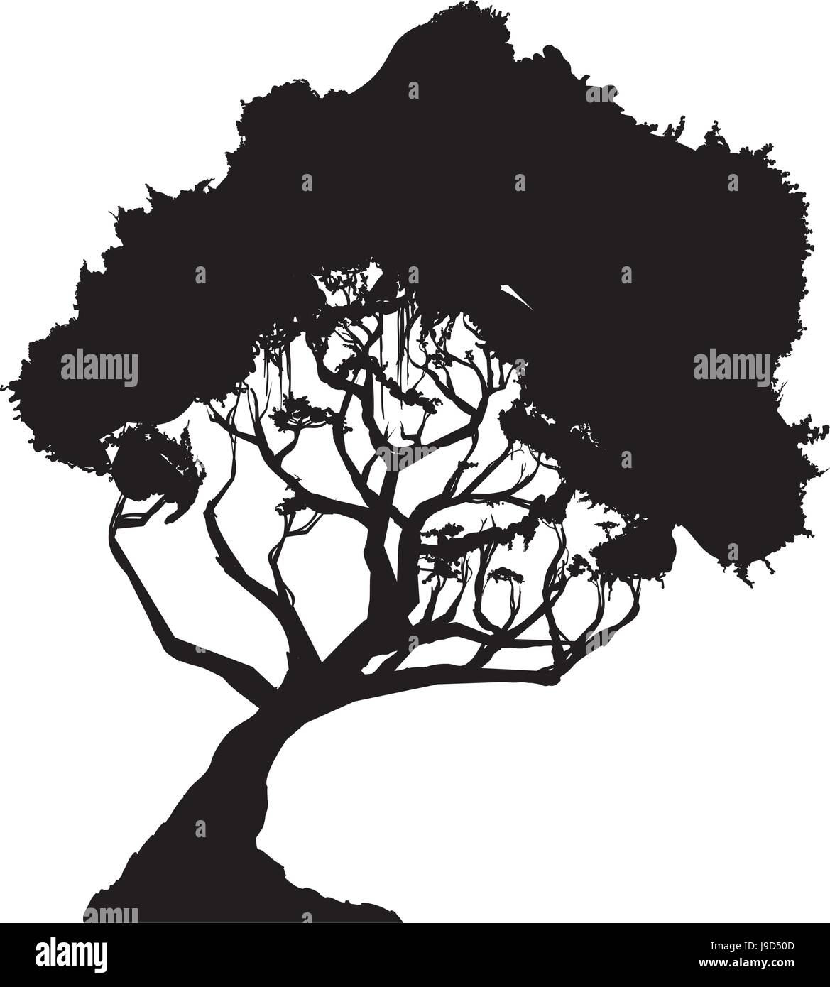 Beautiful tree silhouette Stock Vector Image & Art - Alamy