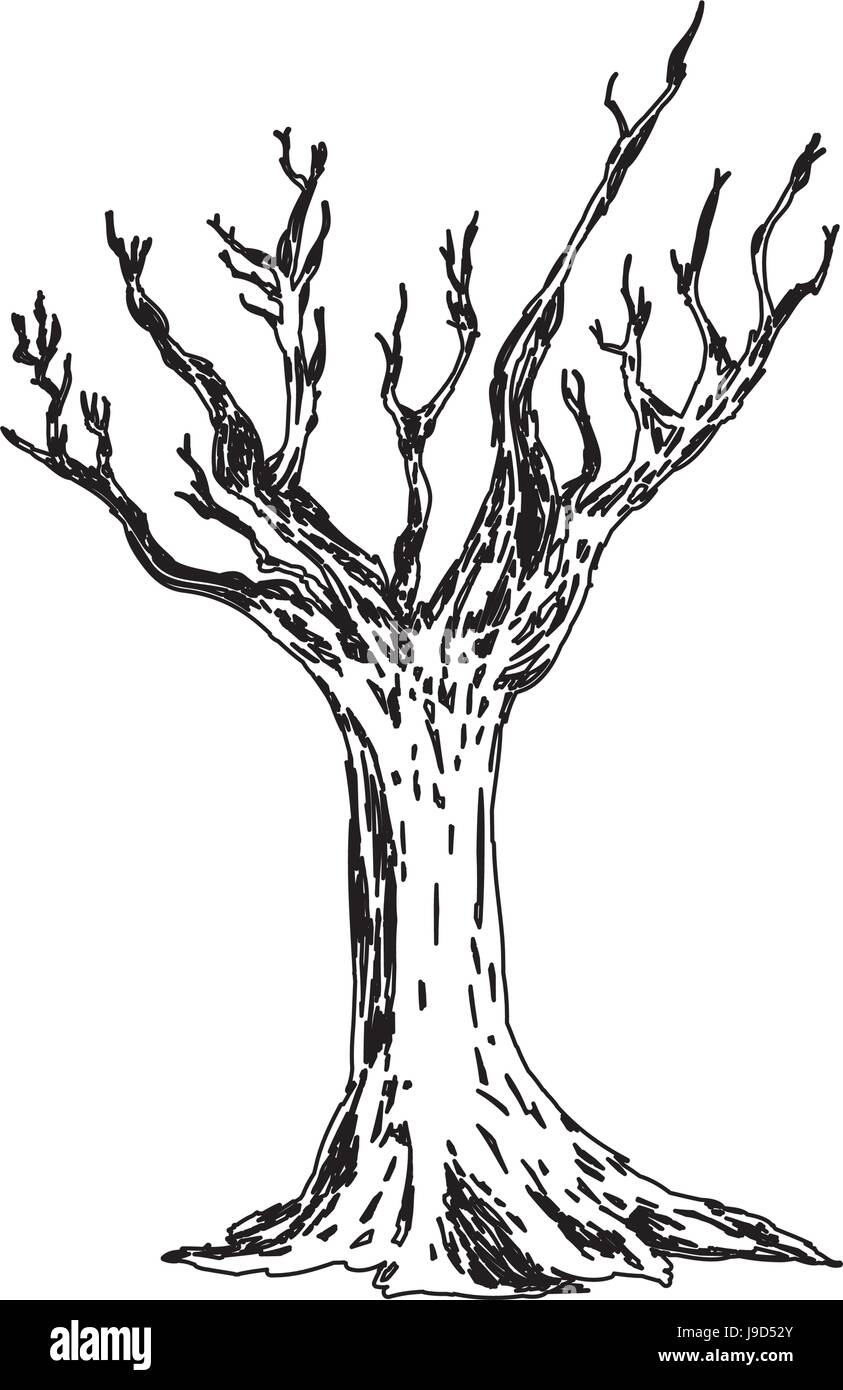 Dry tree silhouette Stock Vector Image & Art - Alamy