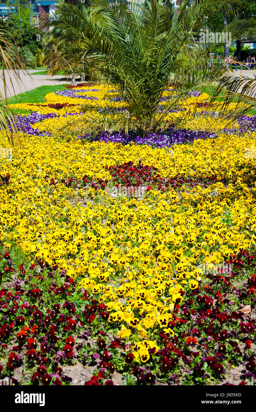 big, large, enormous, extreme, powerful, imposing, immense, relevant ...