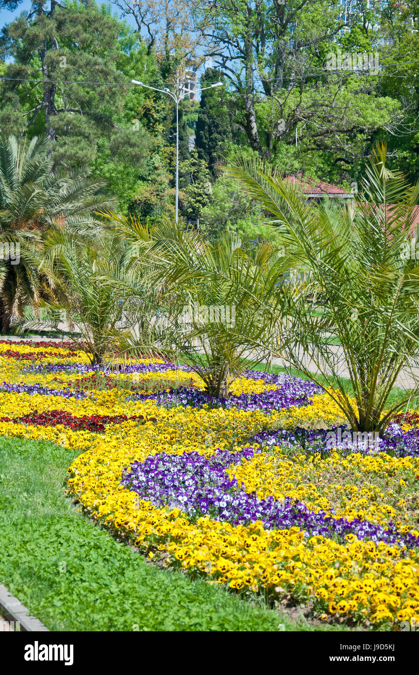 big, large, enormous, extreme, powerful, imposing, immense, relevant ...