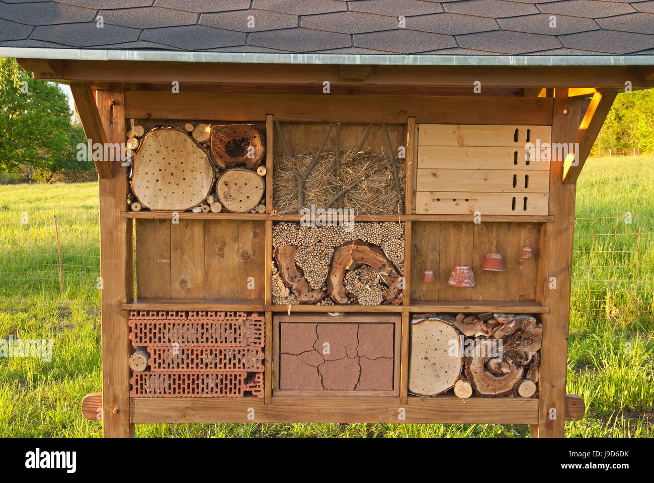conservation of nature, environmental protection, insects, green, wood ...