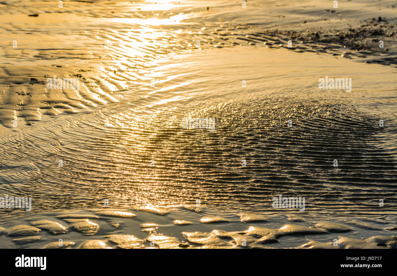 Ripples of water at low tide on a sandy beach with sunlight reflecting ...