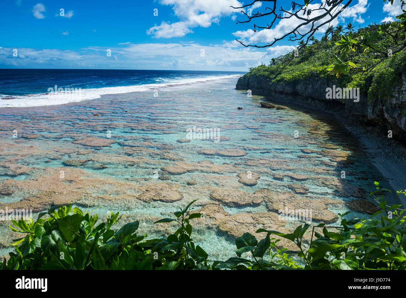 Beautiful low tide pools, Niue, South Pacific, Pacific Stock Photo - Alamy