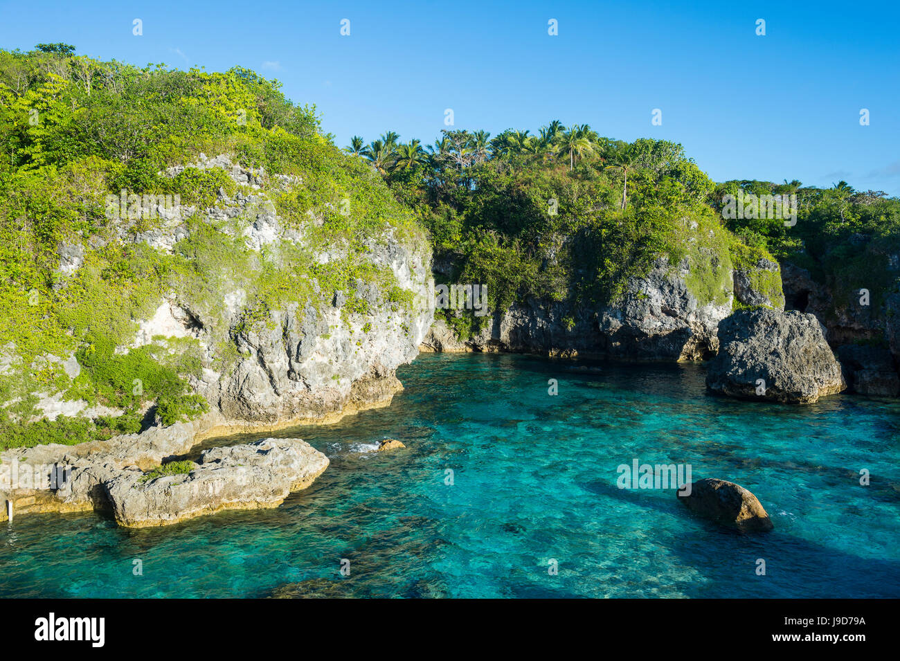 Limu hi-res stock photography and images - Alamy