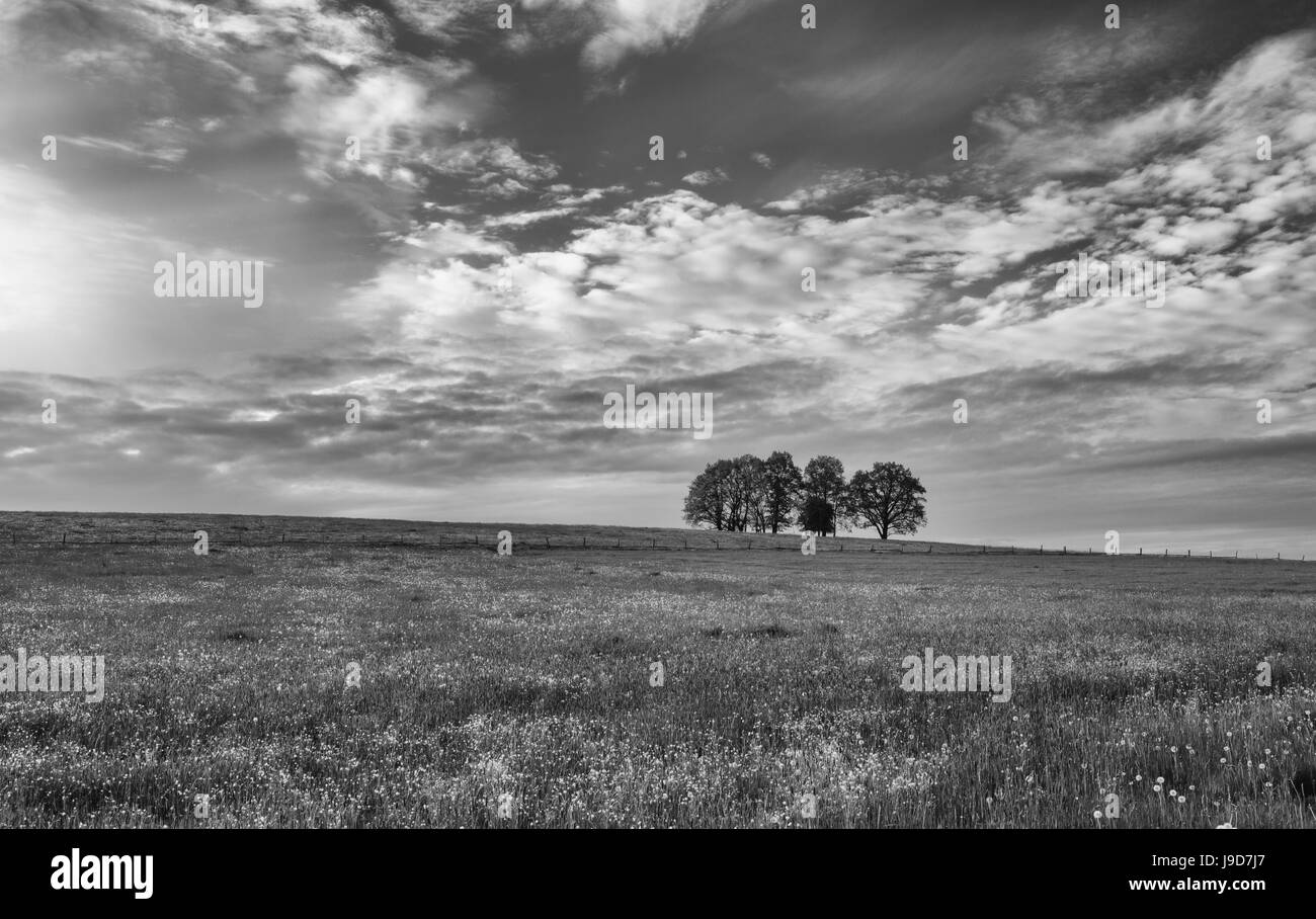 Tree on farm land Black and White Stock Photos & Images - Alamy