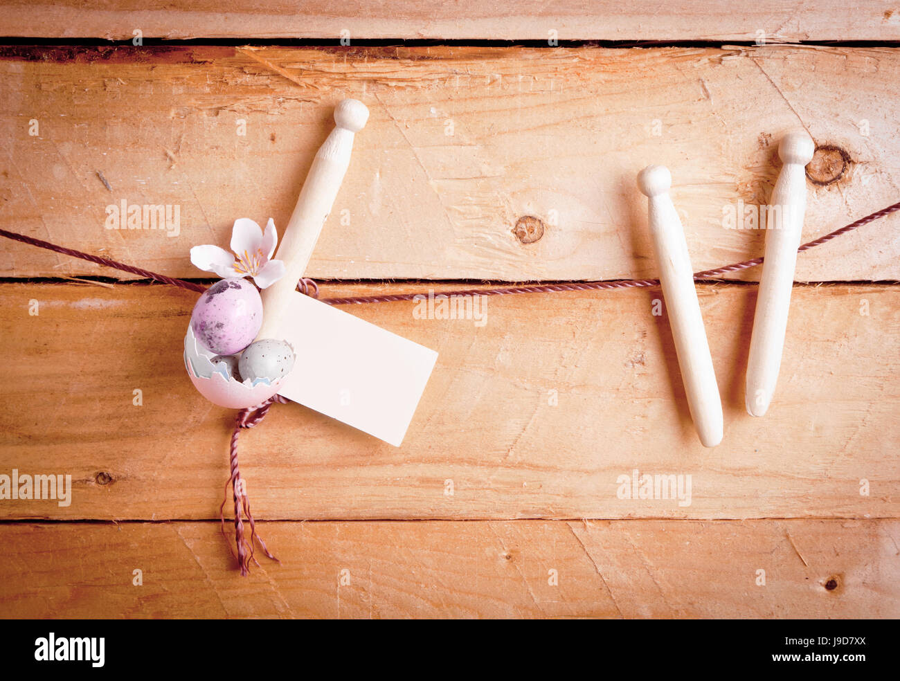 flower, plant, easter, easter egg, peg, label, rustical, rustic, wooden ...