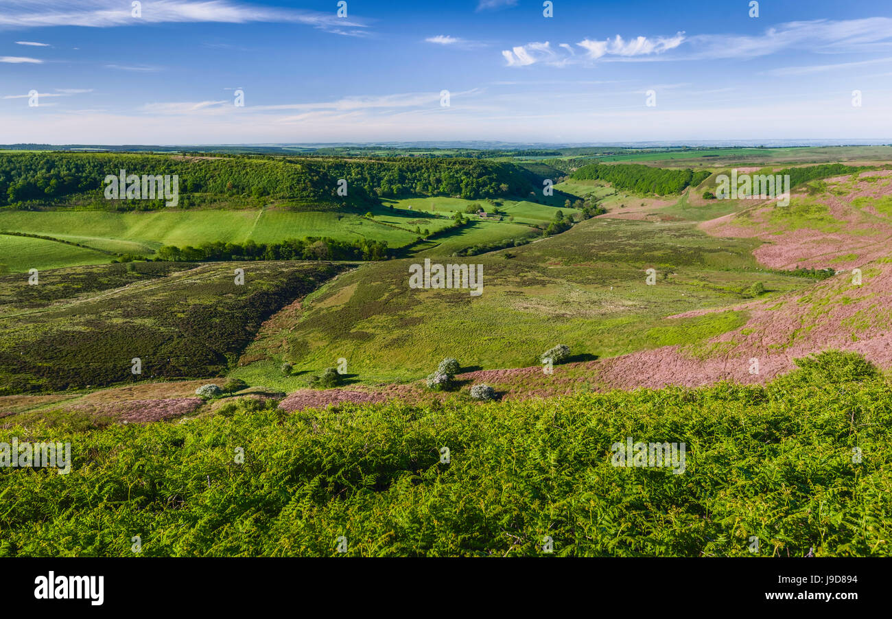 The North York Moors with view of a natural depression, farmland ...