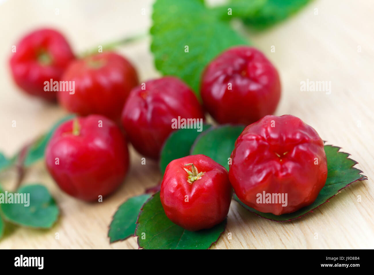 acerola cherry - brazil Stock Photo - Alamy