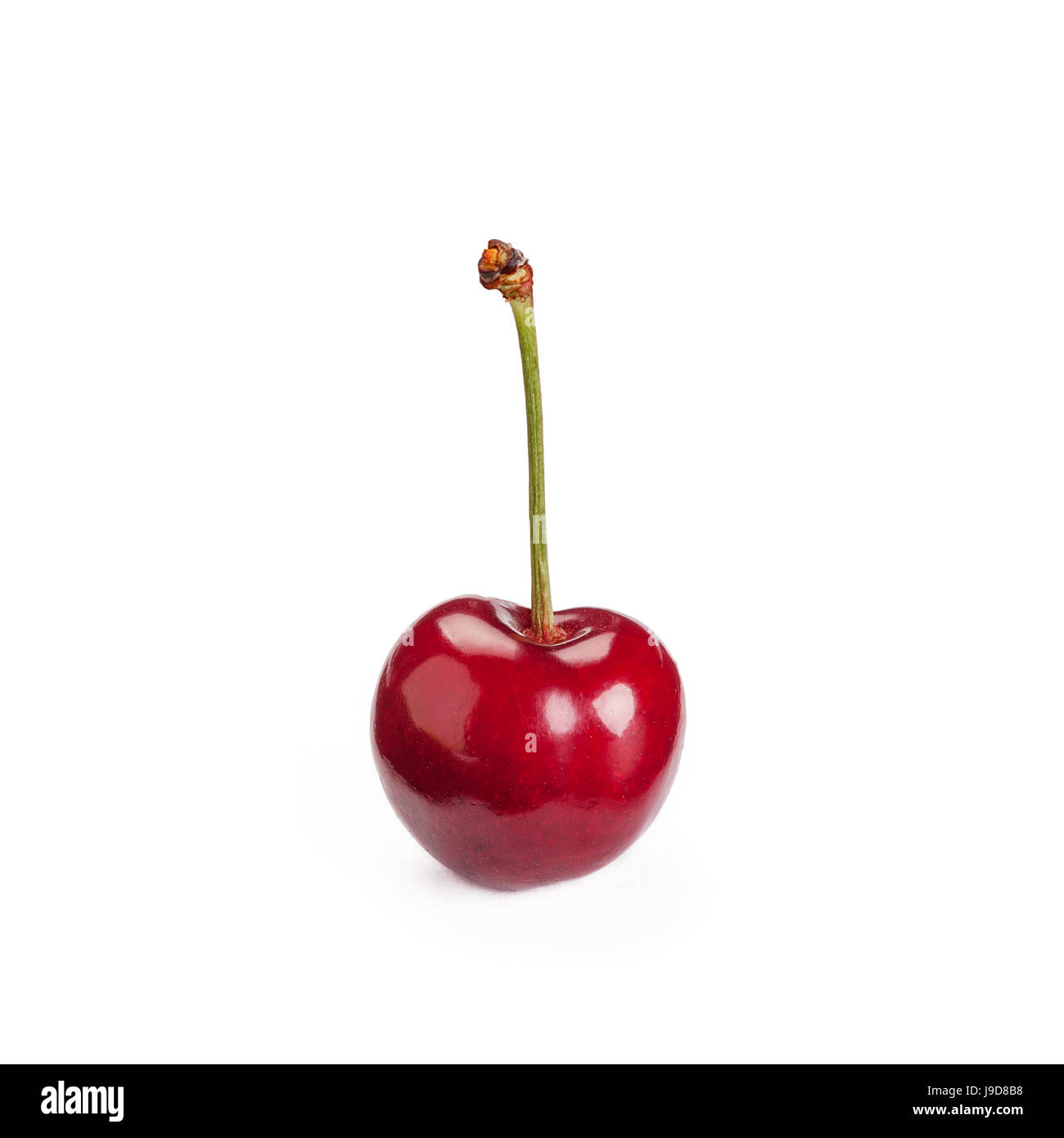 Cherry isolated on white background Stock Photo - Alamy