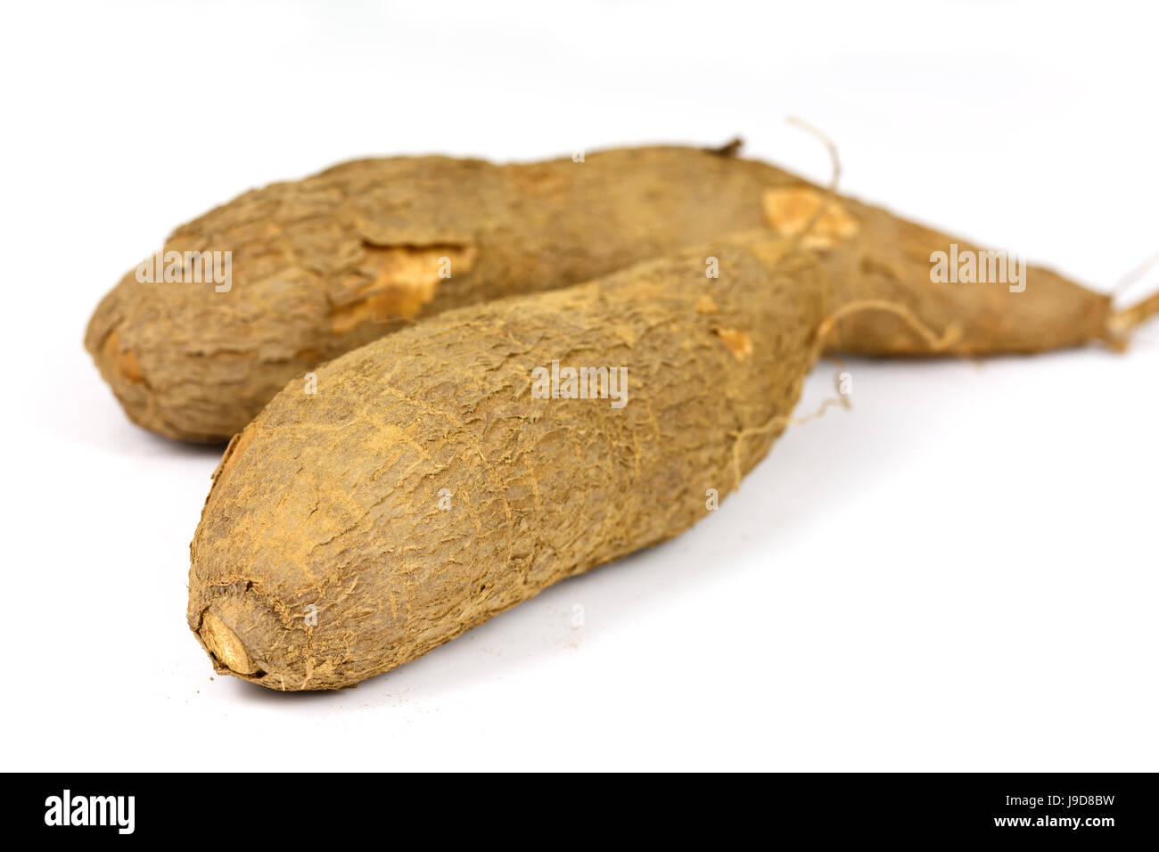 isolated, blank, european, caucasian, horizontal, studio, root, three ...