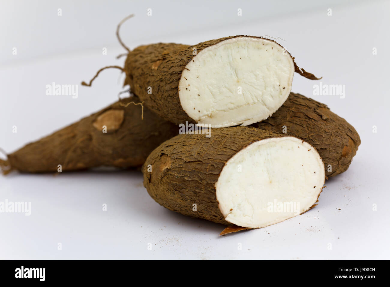 isolated, blank, european, caucasian, horizontal, studio, root, three ...