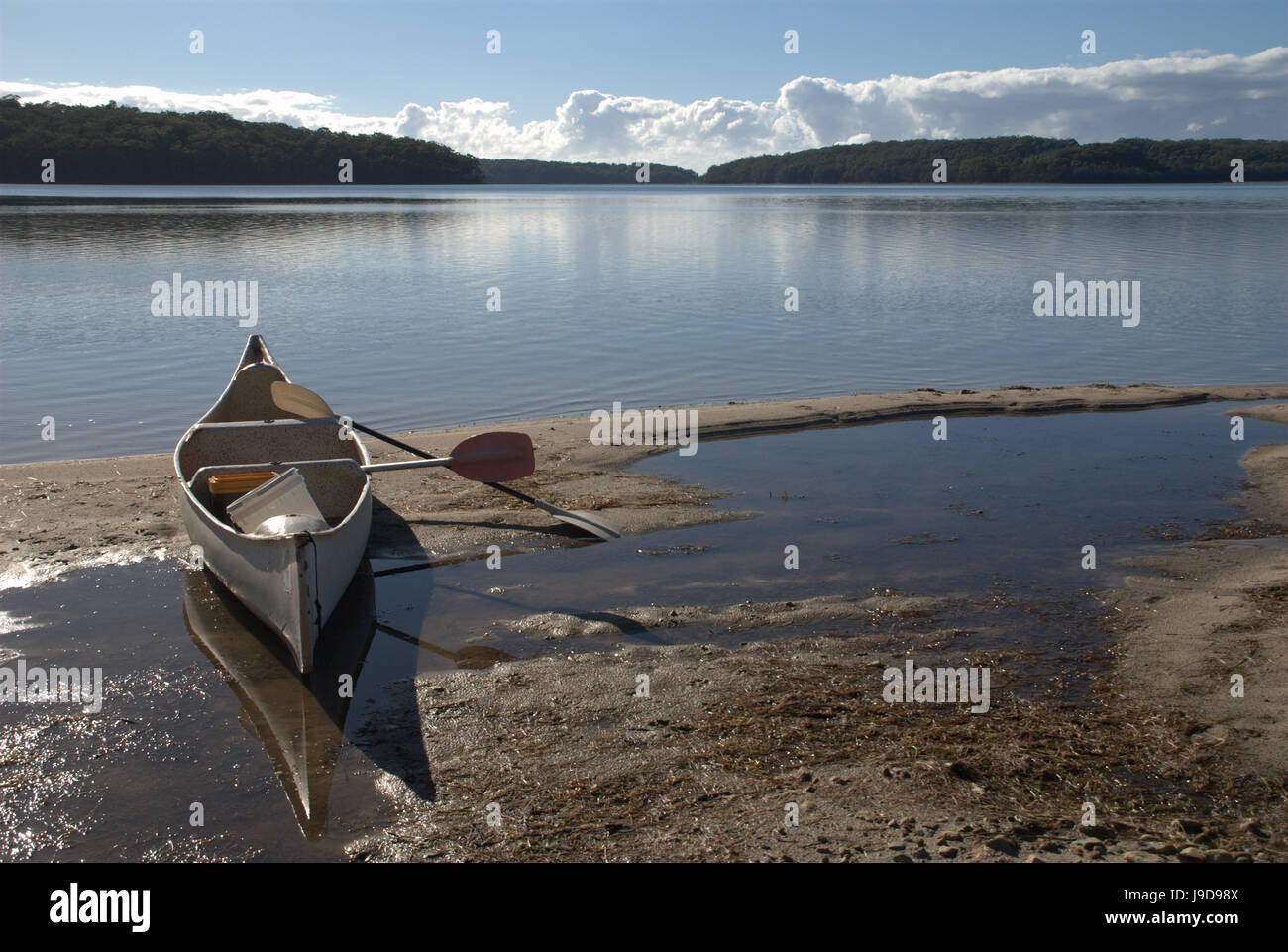australia, lakeside, salt water, sea, ocean, water, canoe, rowing boat ...