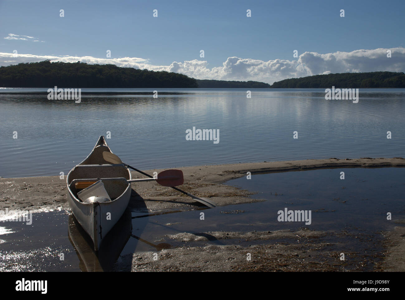 australia, lakeside, salt water, sea, ocean, water, canoe, rowing boat ...