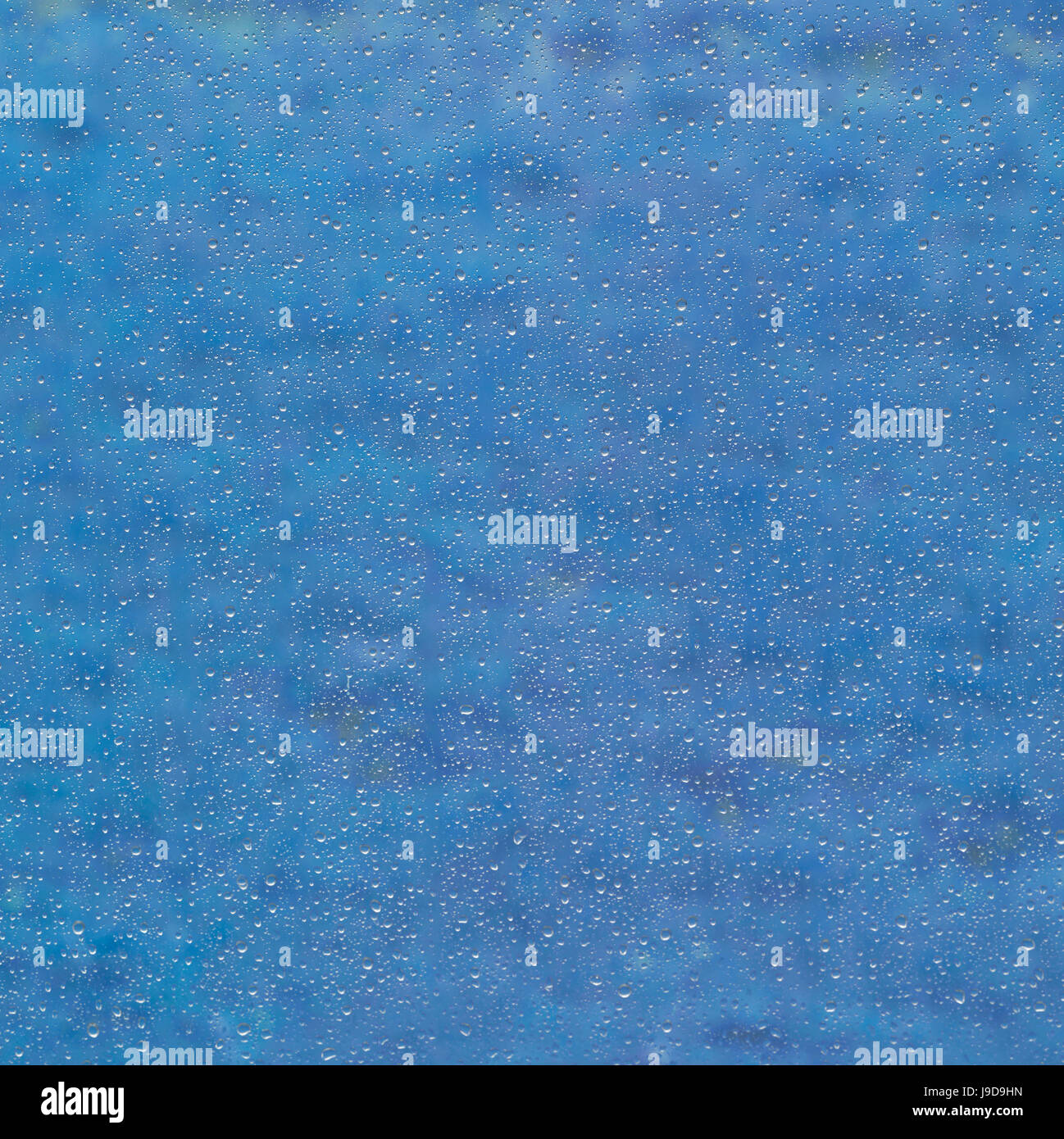 wet blue back Stock Photo - Alamy