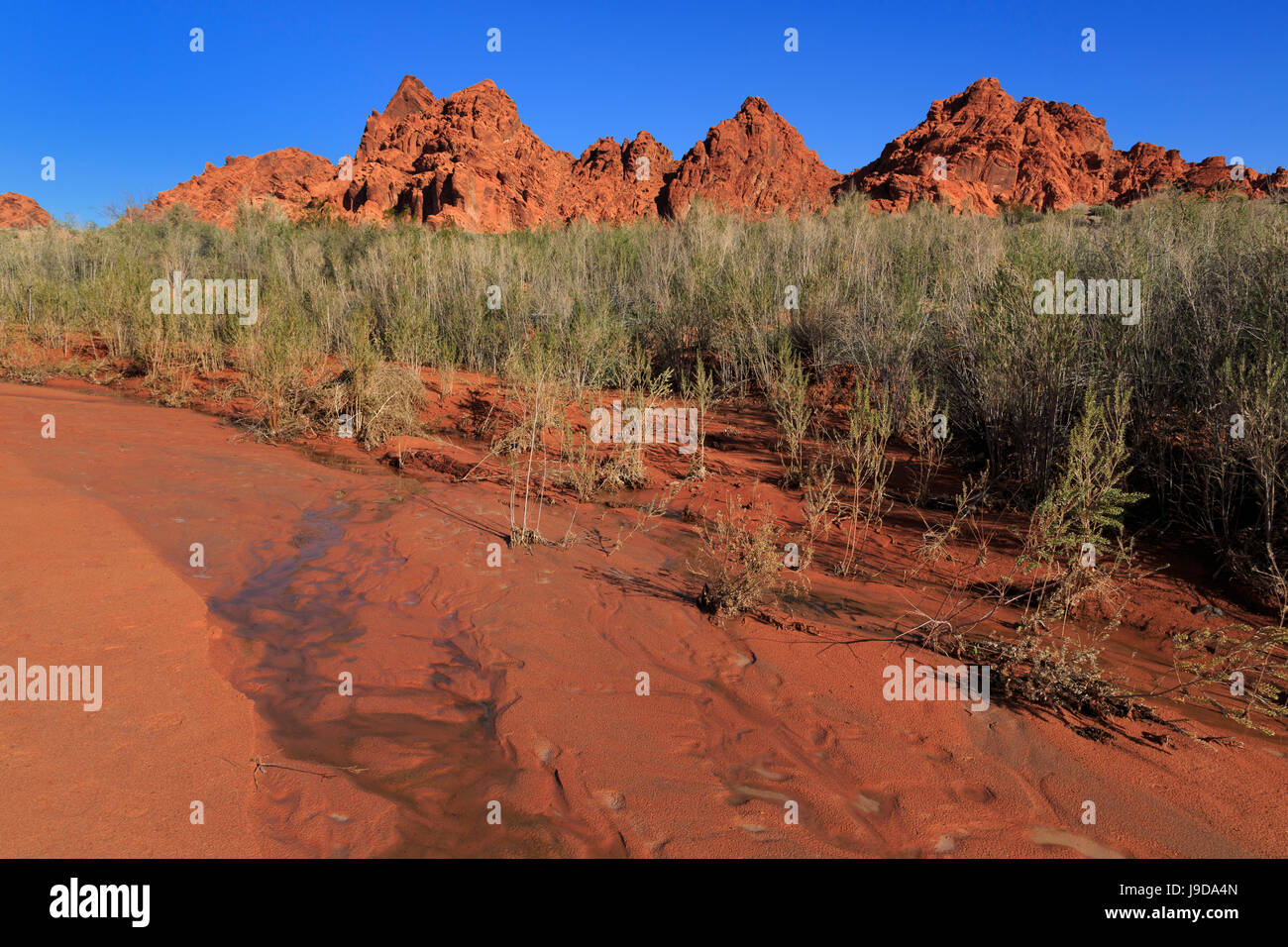 Clark Memorial wash, Valley of Fire State Park, Overton, Nevada, USA ...
