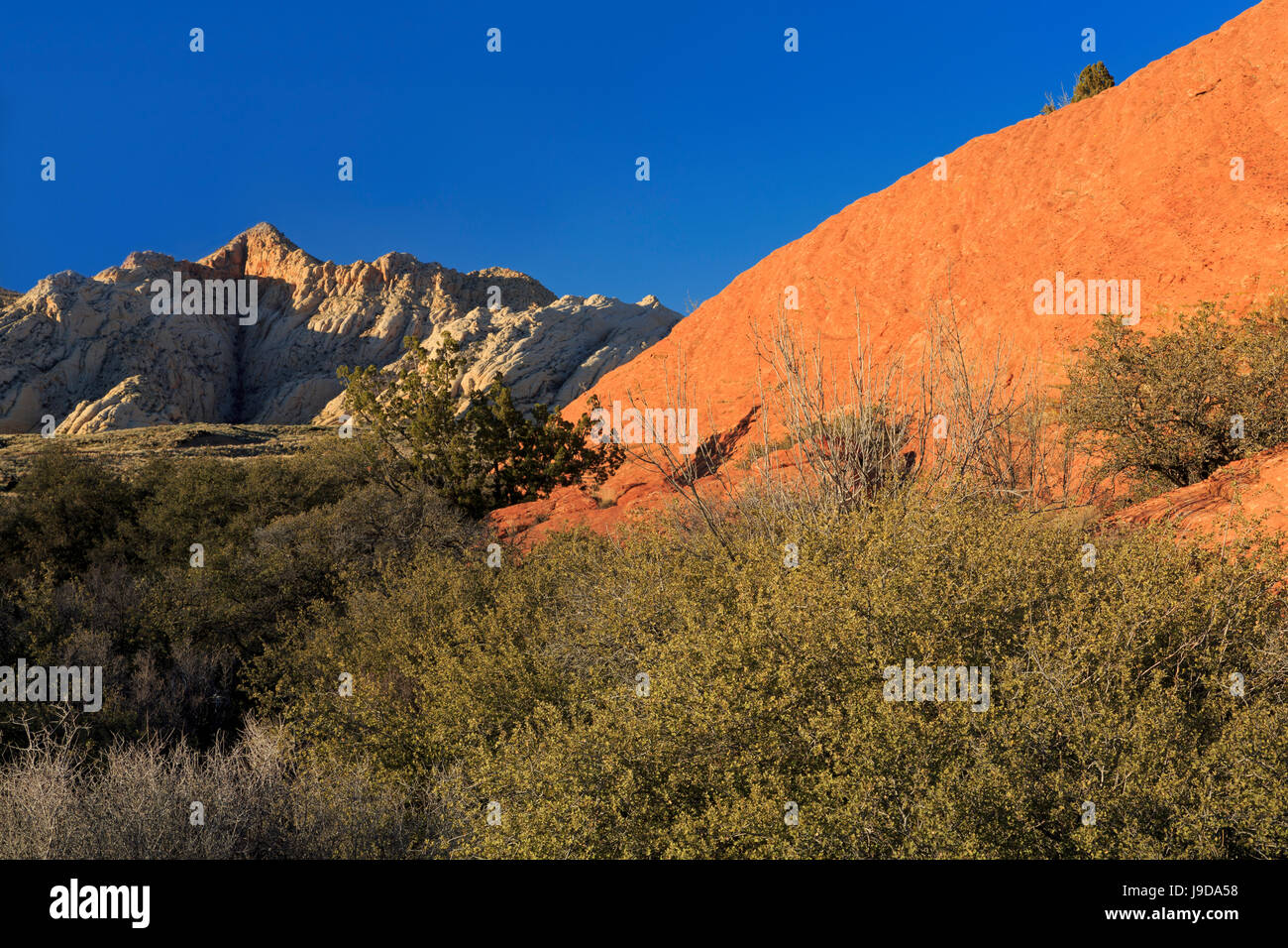 Snow Canyon State Park, St. George, Utah, USA, North America Stock ...