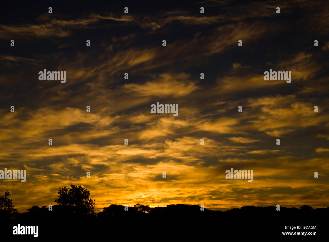 sunset, cloud, sunrise, golden, firmament, sky, shine, shines, bright ...