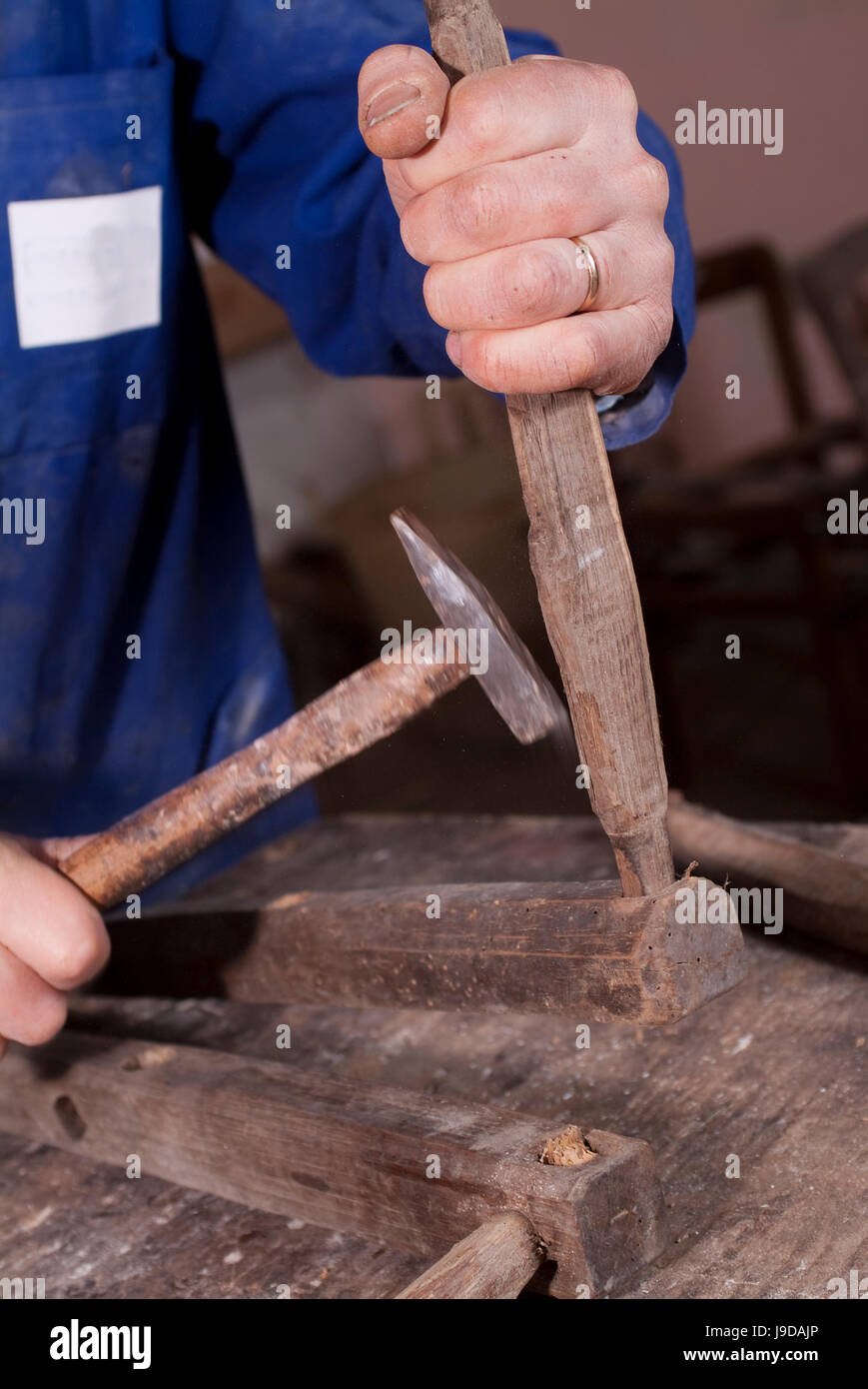 humans, human beings, people, folk, persons, human, human being, board ...