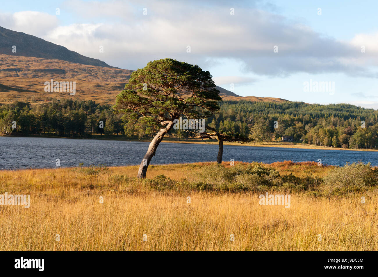 Scottish autumn river hi-res stock photography and images - Alamy