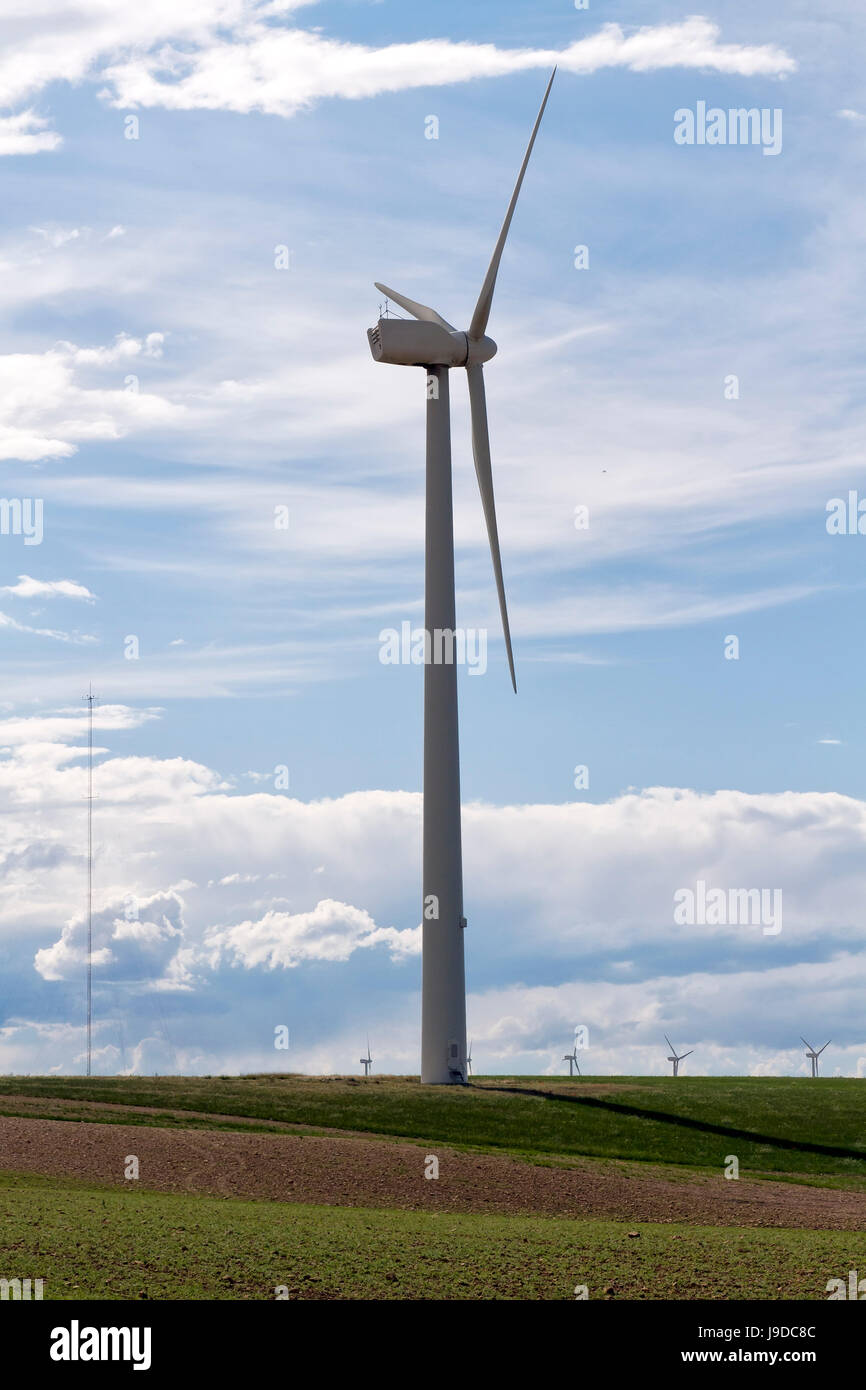 blue, tower, protected, sheltered, environment, enviroment, hill, park ...