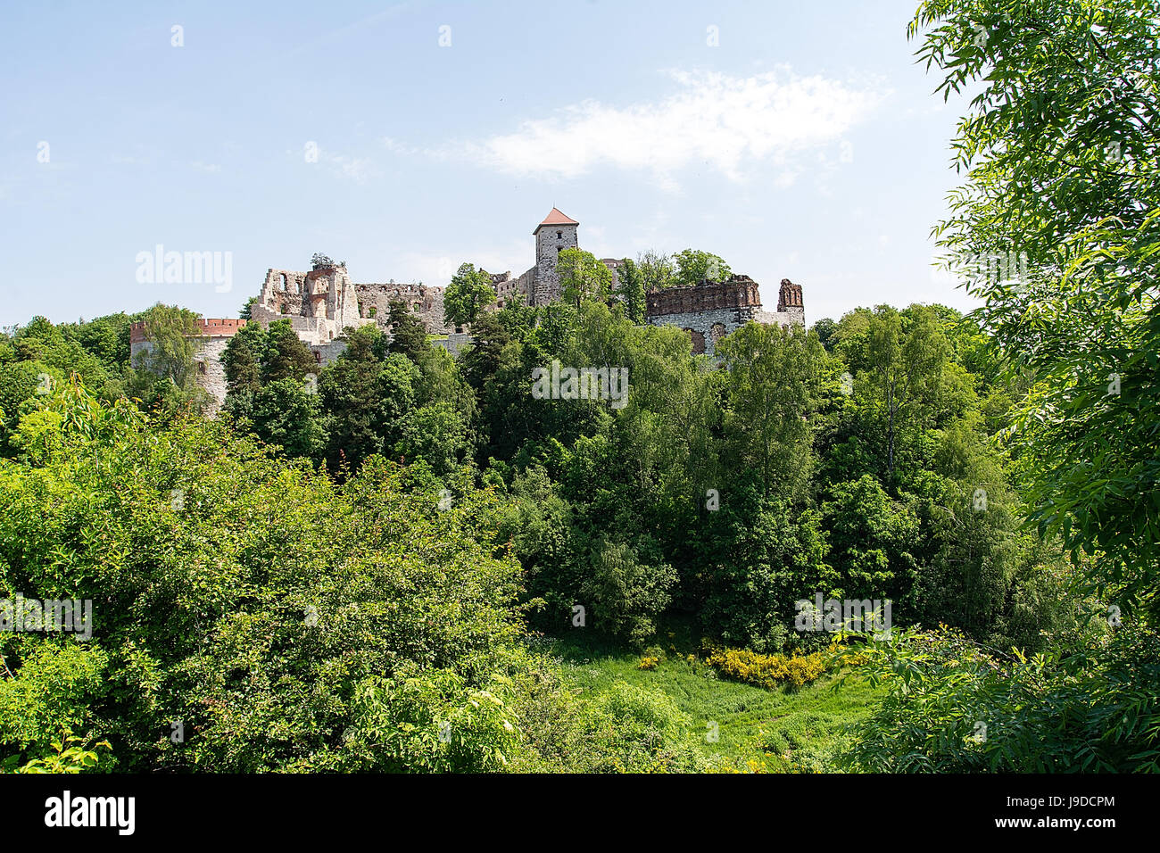 Tenczyn castle hi-res stock photography and images - Alamy